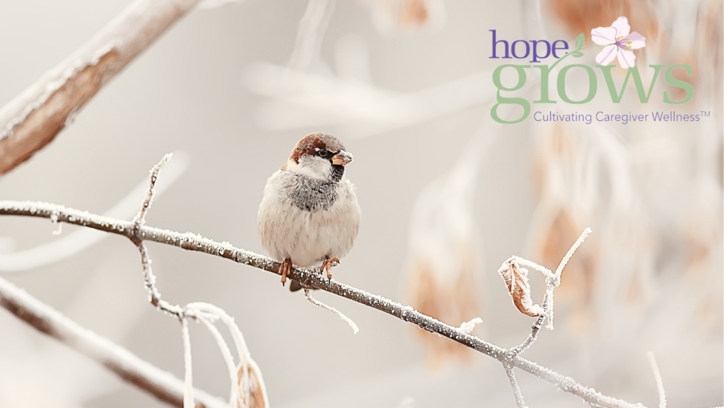 Insights | Hope Grows