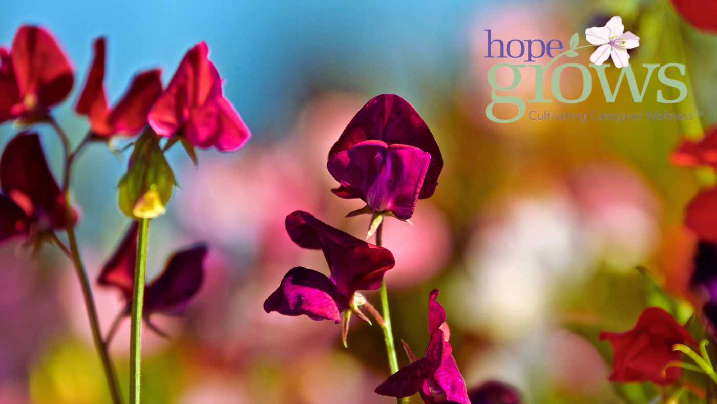 Reluctancy | Hope Grows