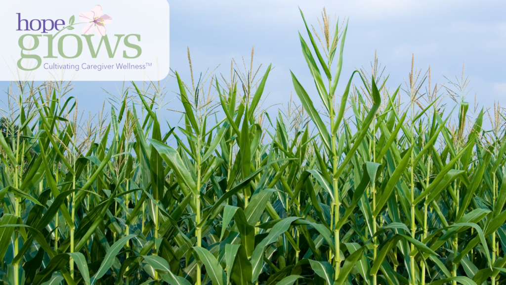 Finding Your "Why" | Hope Grows