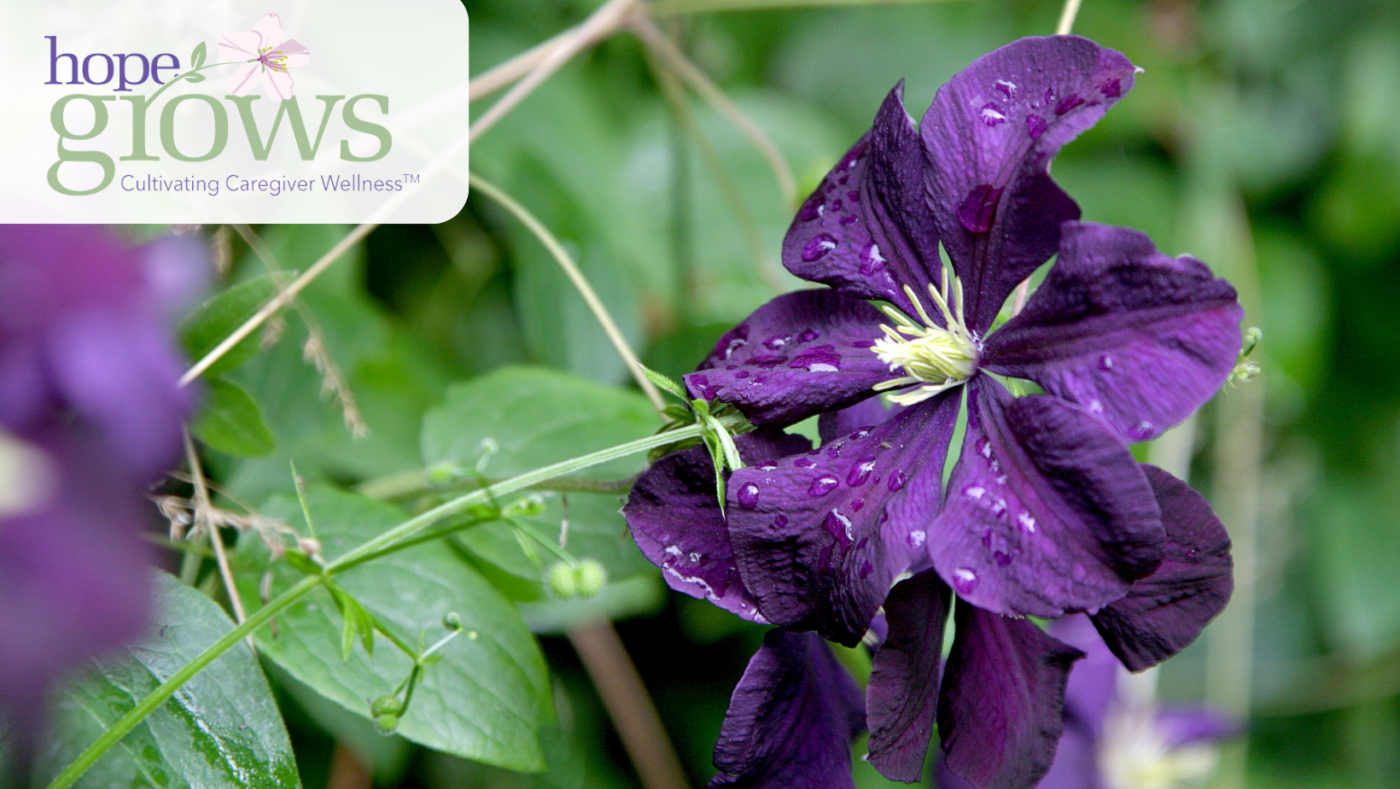 Tenacity | Hope Grows