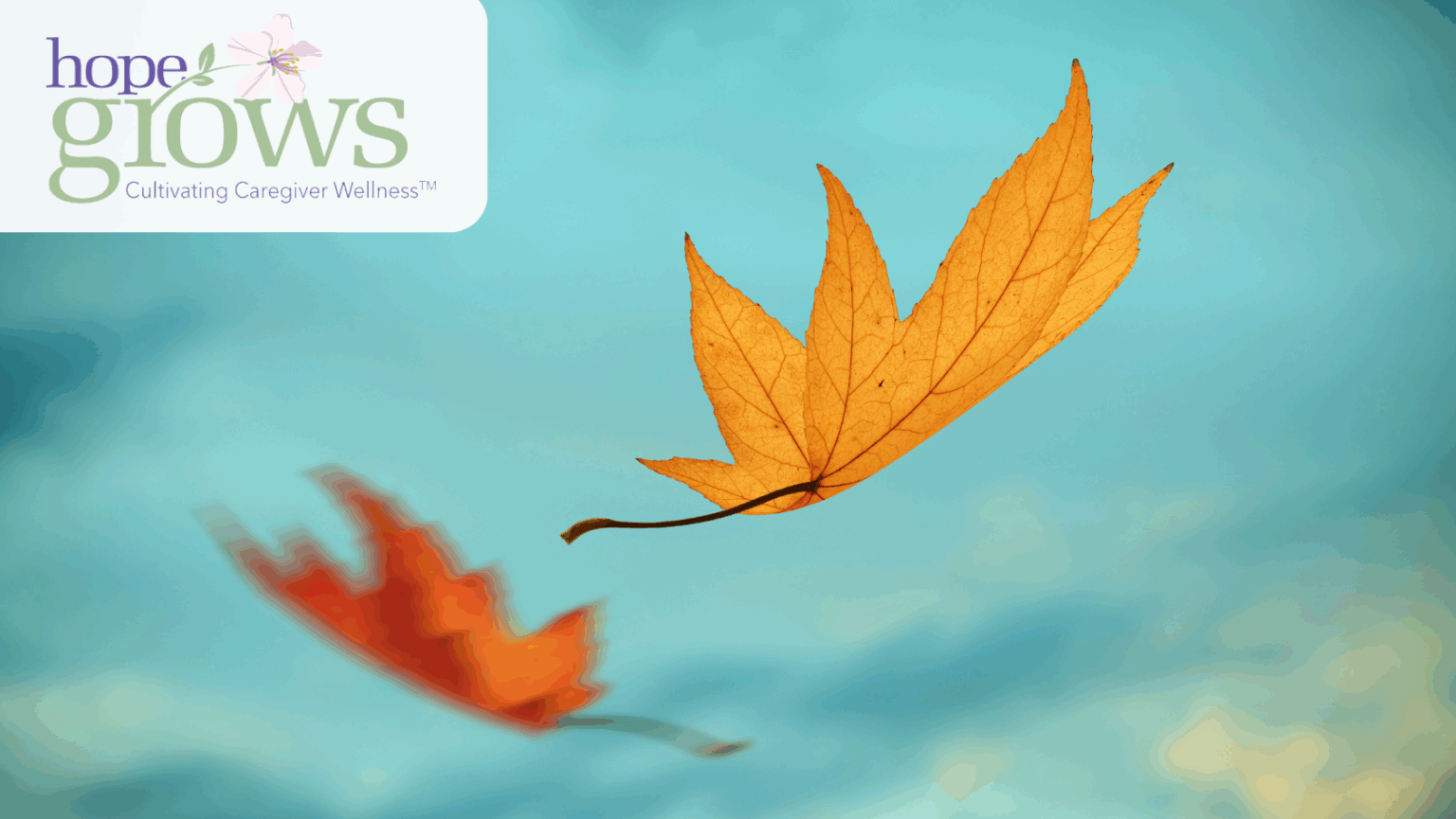 Autumn Equinox Reflections: Tethered in Transition | Hope Grows